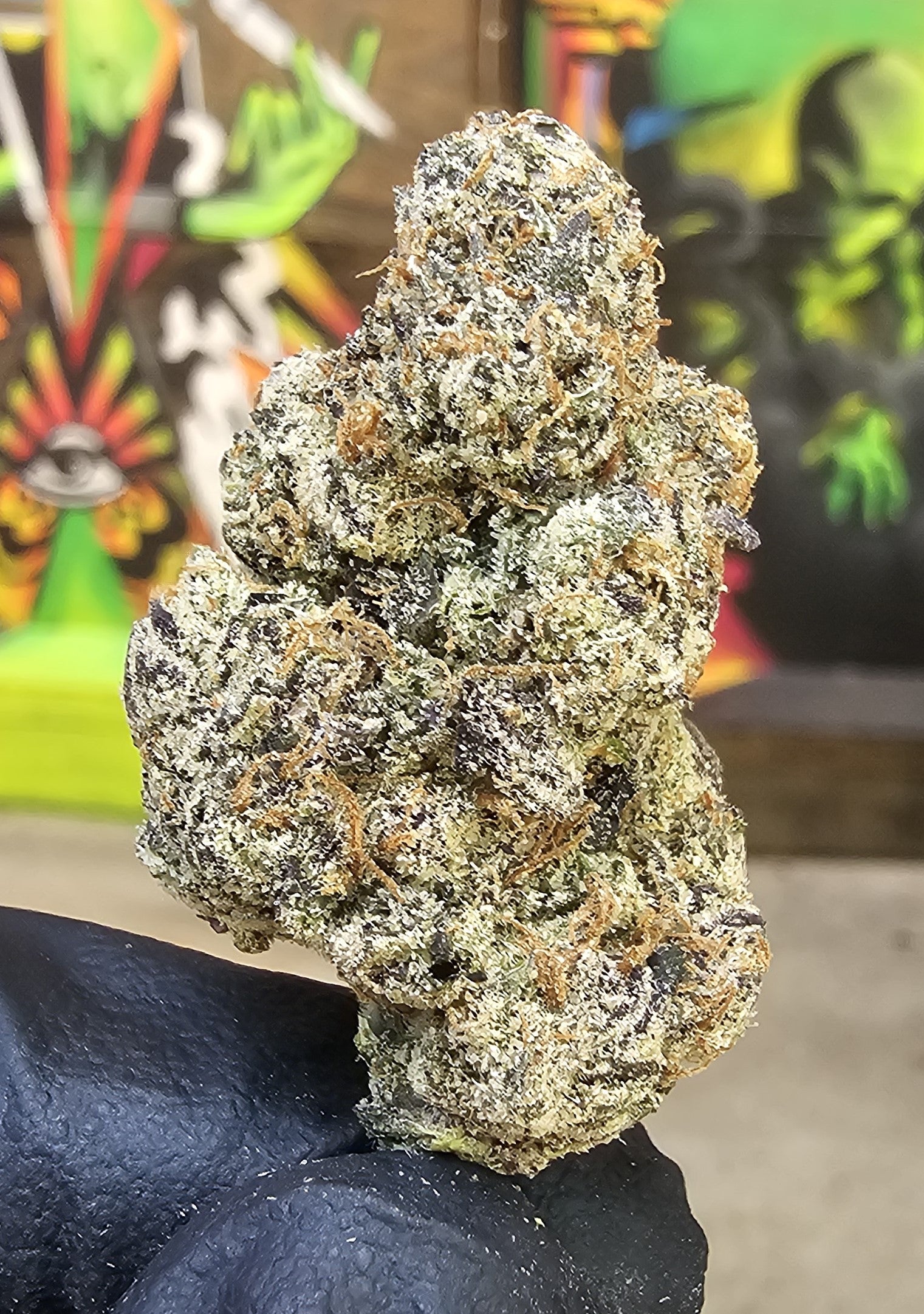 BLUE NERDS – AALLC